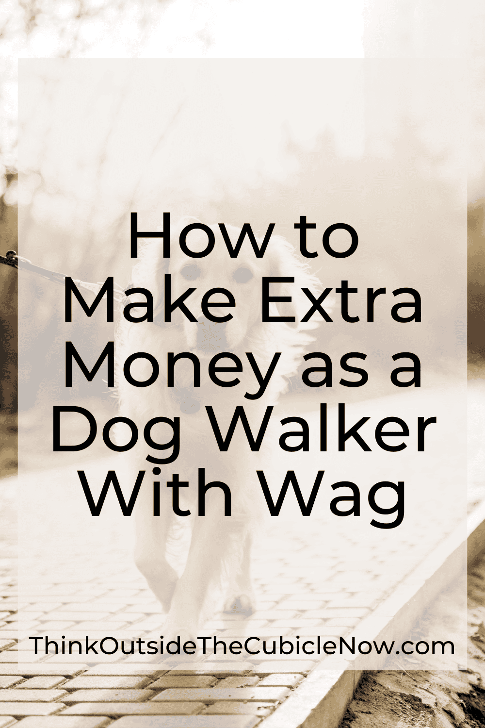 How to Make Extra Money as a Dog Walker With Wag – Think Outside the ...